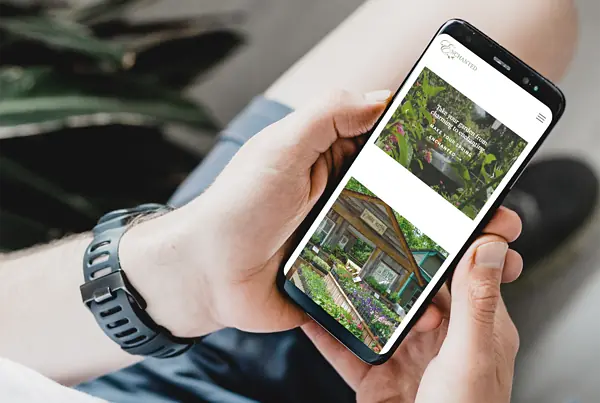 Case Study - Enchanted Forest